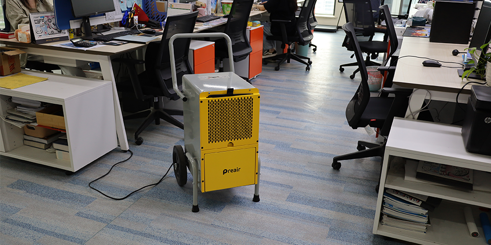 Where to Place Dehumidifier | Preair